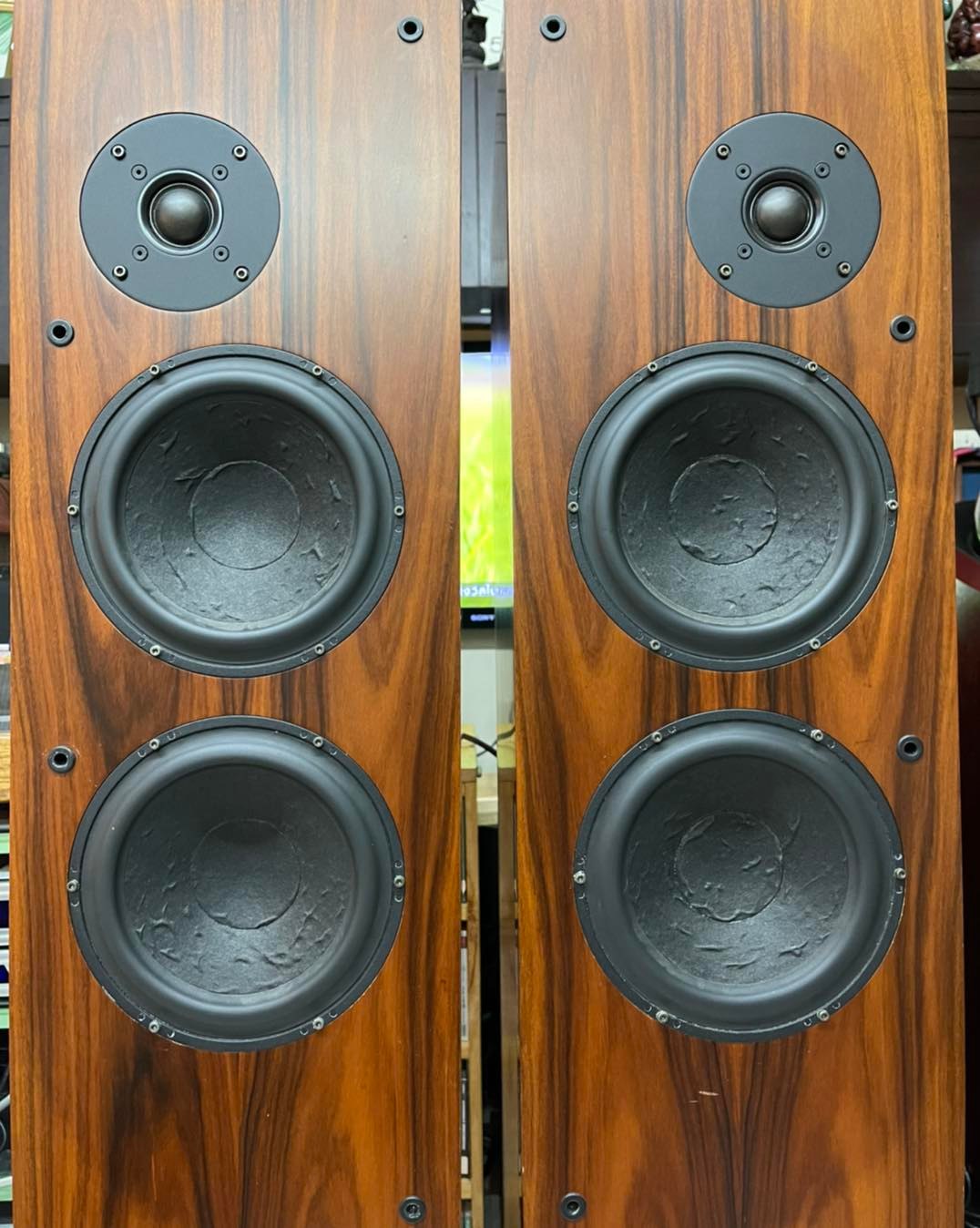 ProAc Response 3.8 Clone premium ดอกแท้ งานสวย ตู้หนัก เป้นรุ่นแรกที่ทำ ...